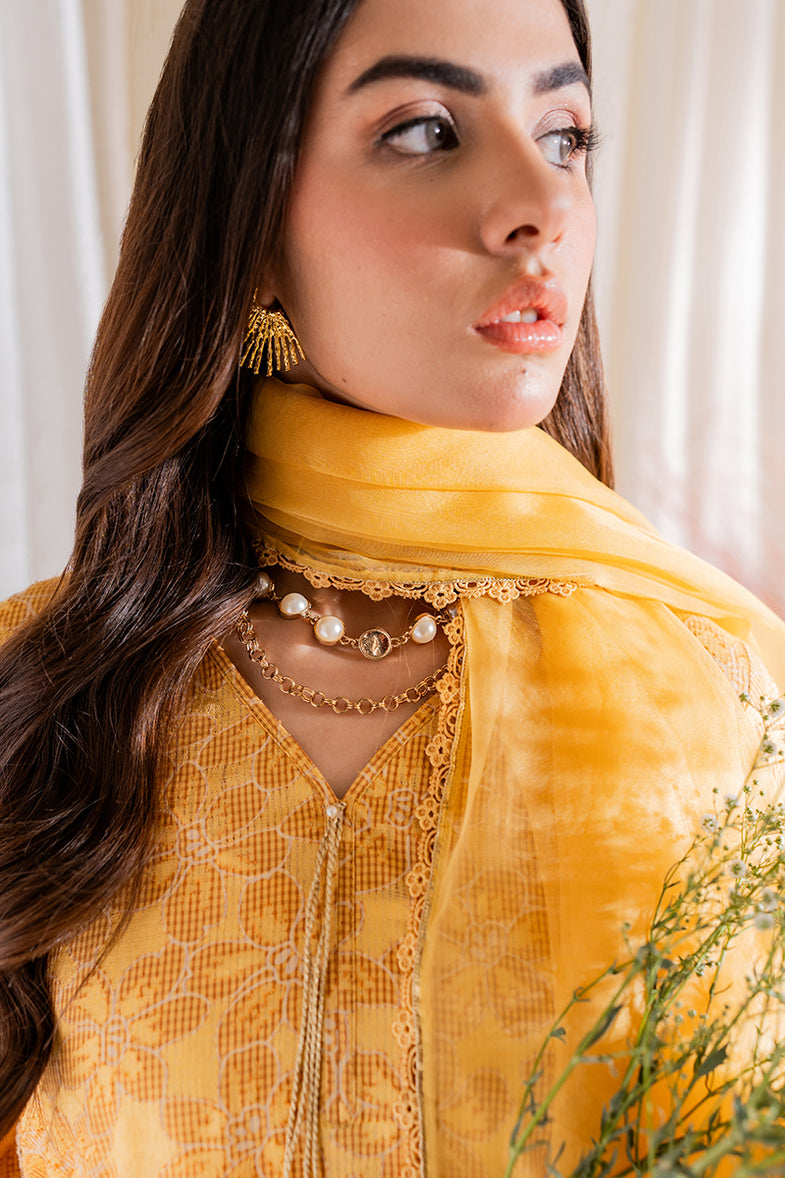 New Arrivals – Armas Clothing